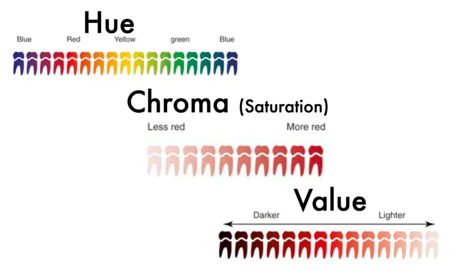 Perfect Shade Matching: Improve Your Dental Restorations